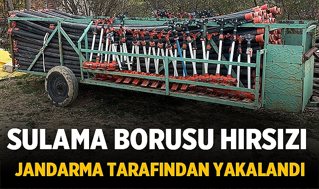 Afyonkarahisar'da Sulama Borusu Hırsızı Jandarma Tarafından Yakalandı ... Afyonkarahisar'da Sulama Borusu Hırsızı Jandarma Tarafından Yakalandı ...